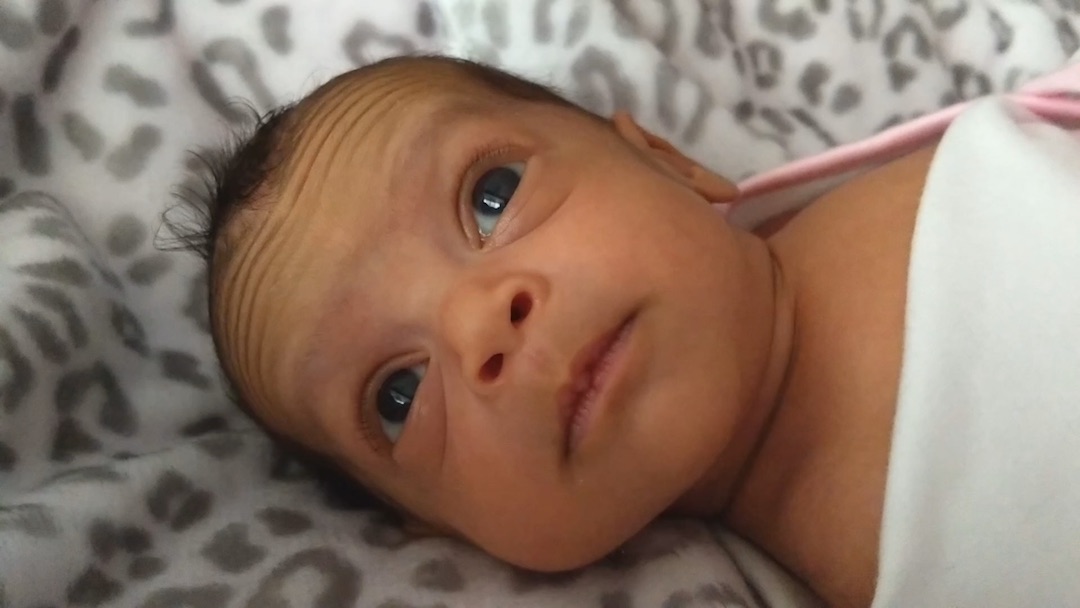 julia.global: I am Julia, and of course I have a domain name